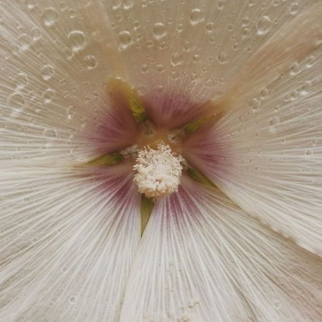 SOULI WEEK - DAG 1 – Souli Collective